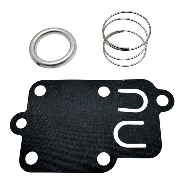 Diaphragm Kit Compatible With Briggs & Stratton 3-5 HP Horizontal Shaft ...